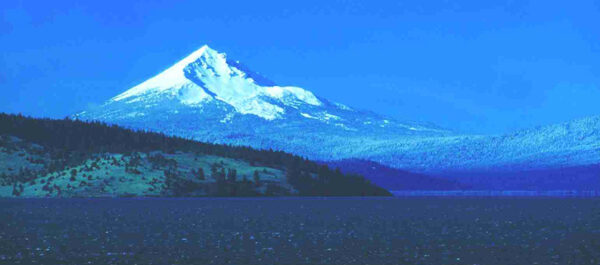100% Pure Organic Blue Green Algae From Klamath Lake