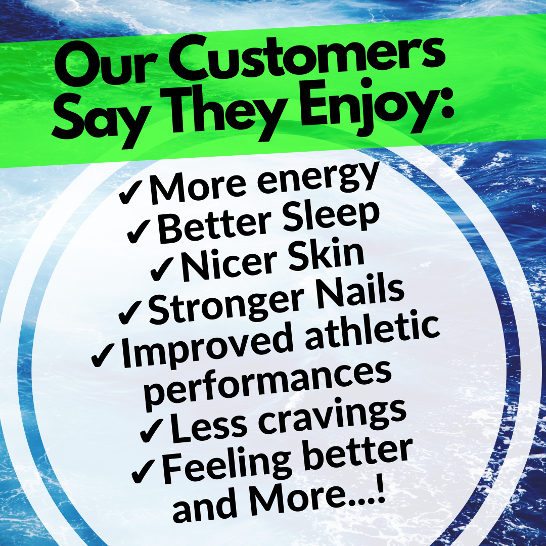 100% Pure Organic Blue Green Algae From Klamath Lake